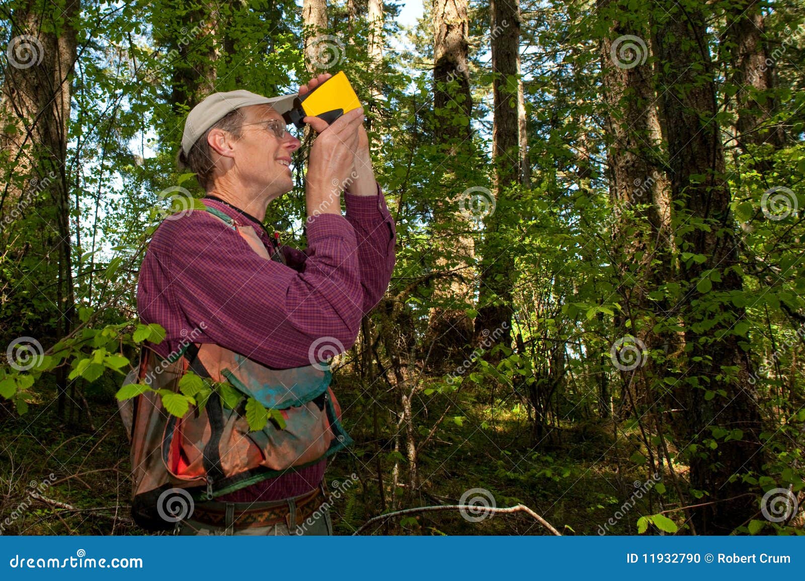 Forester in a Pacific Northwest Stock Photo - Image of human, people ...
