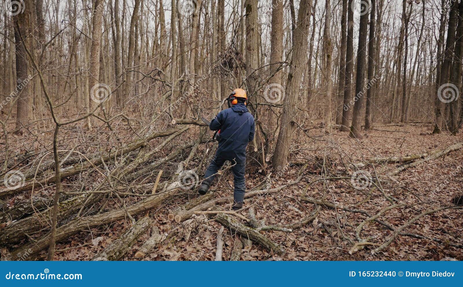 Forester Using a Chainsaw Makes Clearing the Forest Stock Footage ...