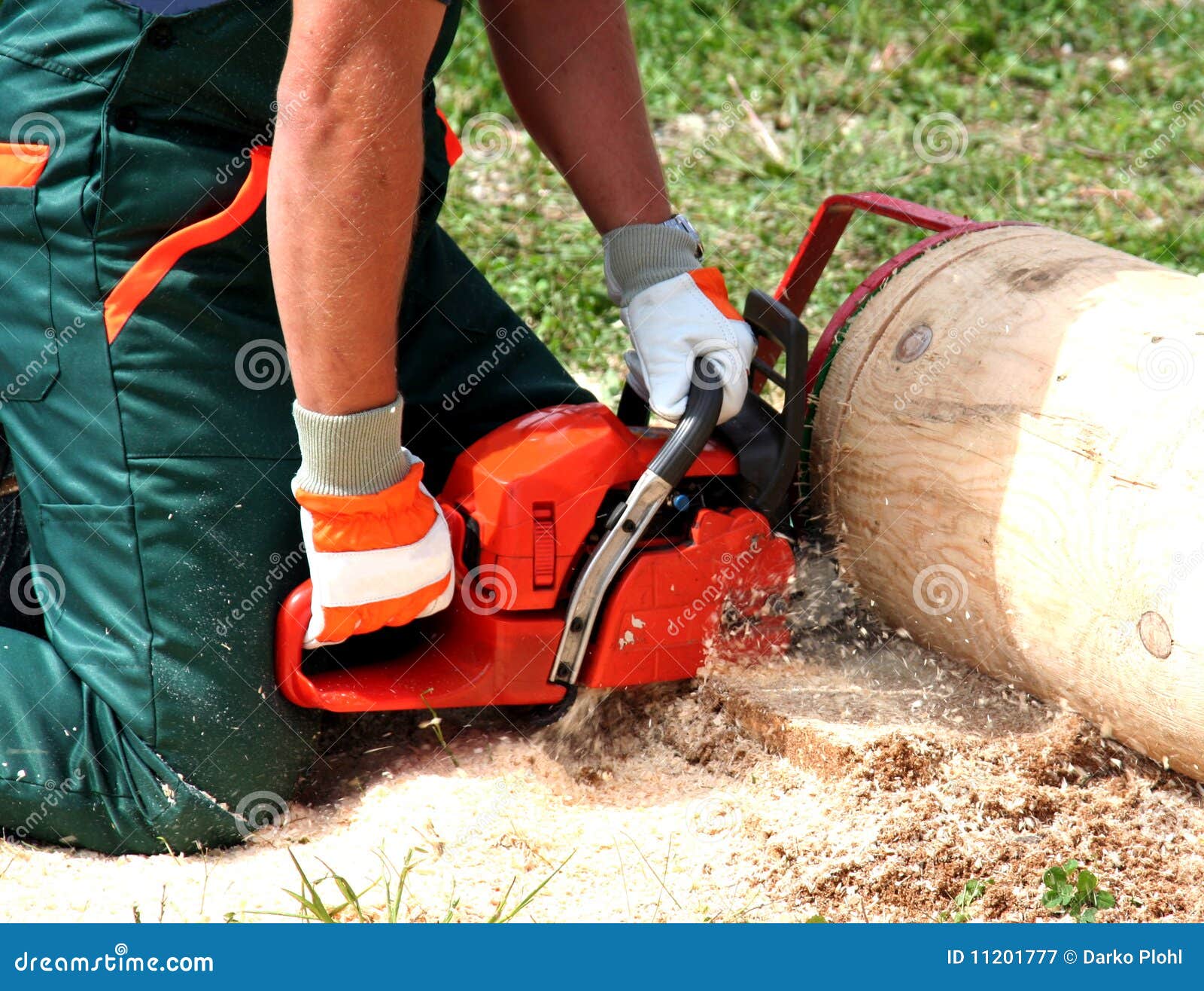 Forester Work with Hand Saw Stock Image - Image of peace, work: 11201777