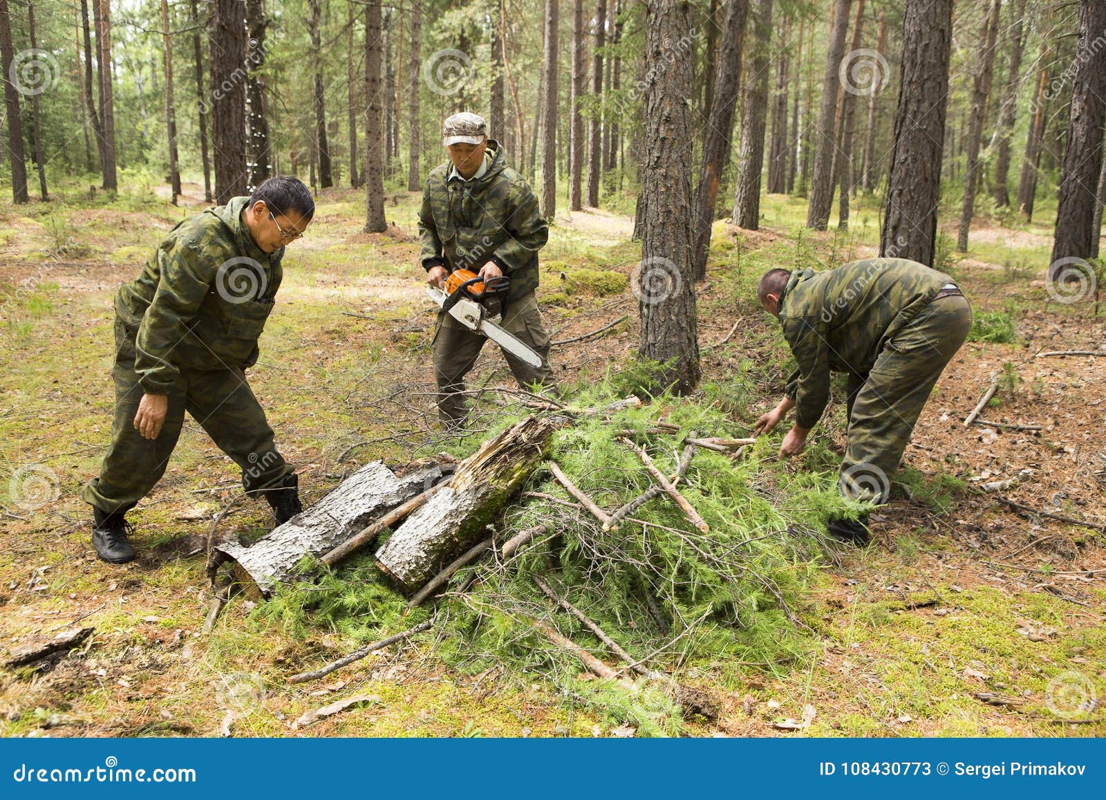 Cleaning the forest stock image. Image of green, disaster - 108430773