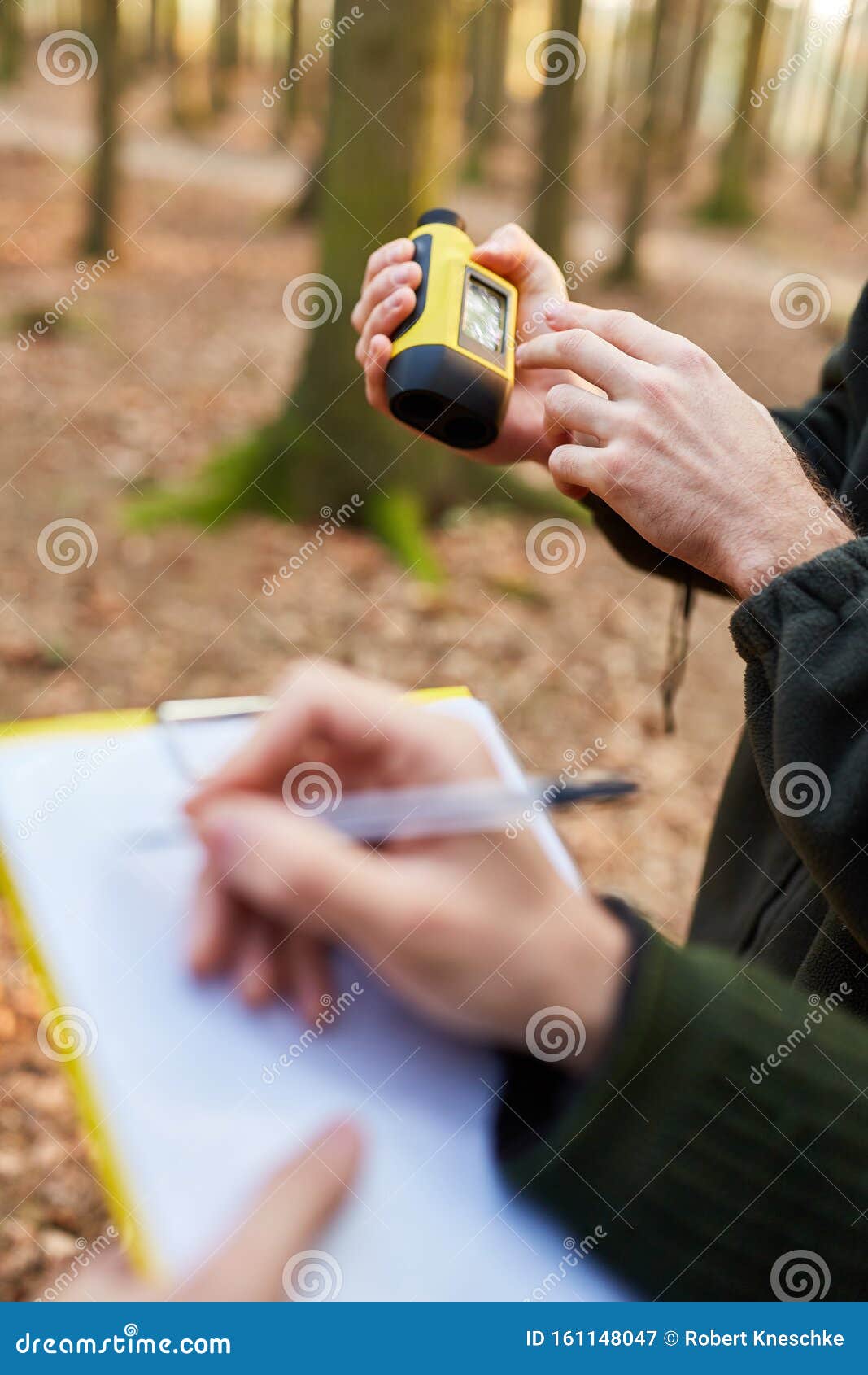 Foresters Note the Tree Height after the Measurement Stock Image ...