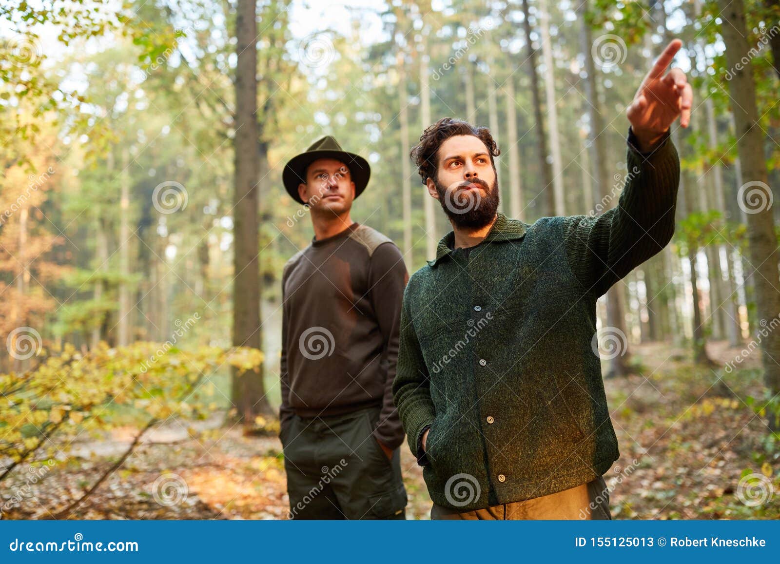 Foresters Work Together for Sustainability Stock Image - Image of ...