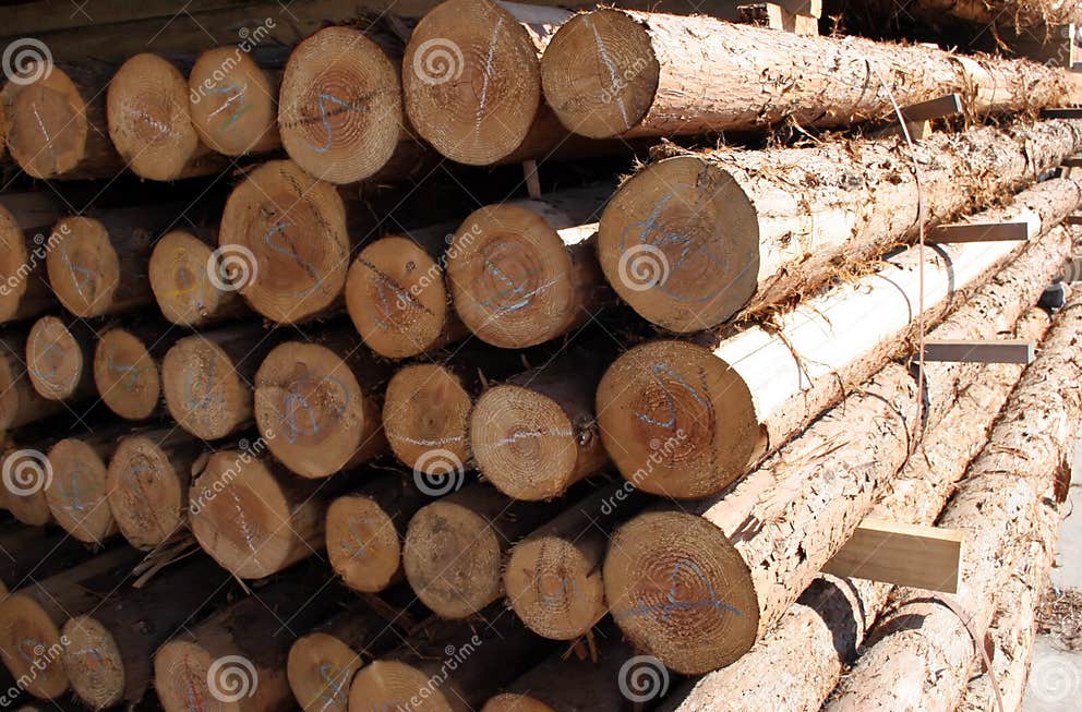 Forestry stock image. Image of outdoors, rural, pile, build - 508289