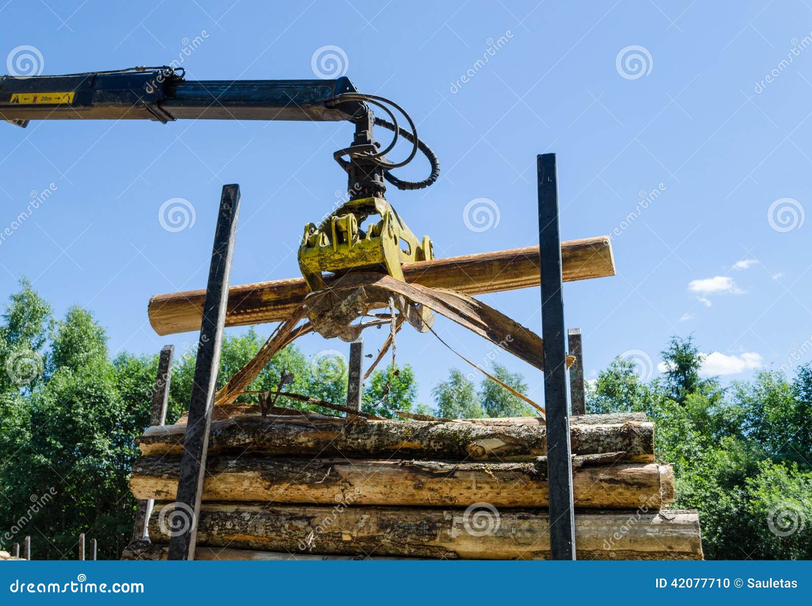 Forestry Cutter Loading Cut Logs in Pile Trailer Stock Photo - Image of ...