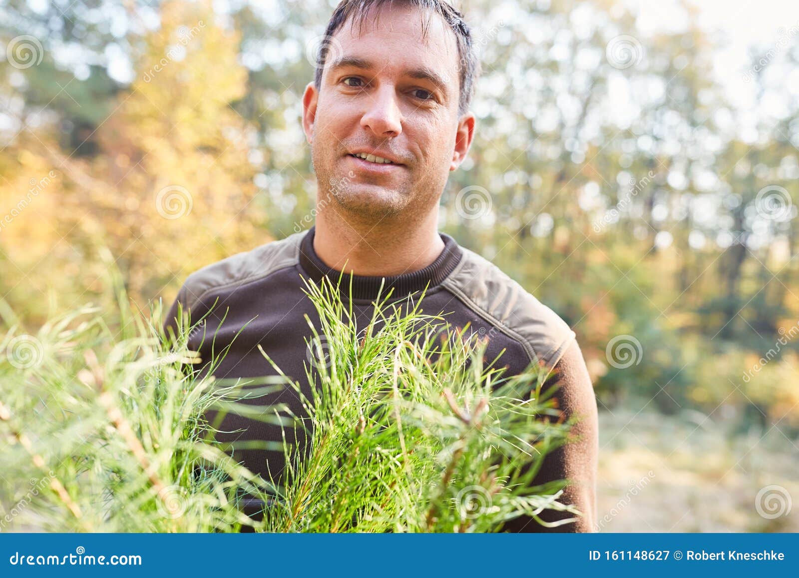Forestry or Forest Worker with Pine Seedlings Stock Image - Image of ...