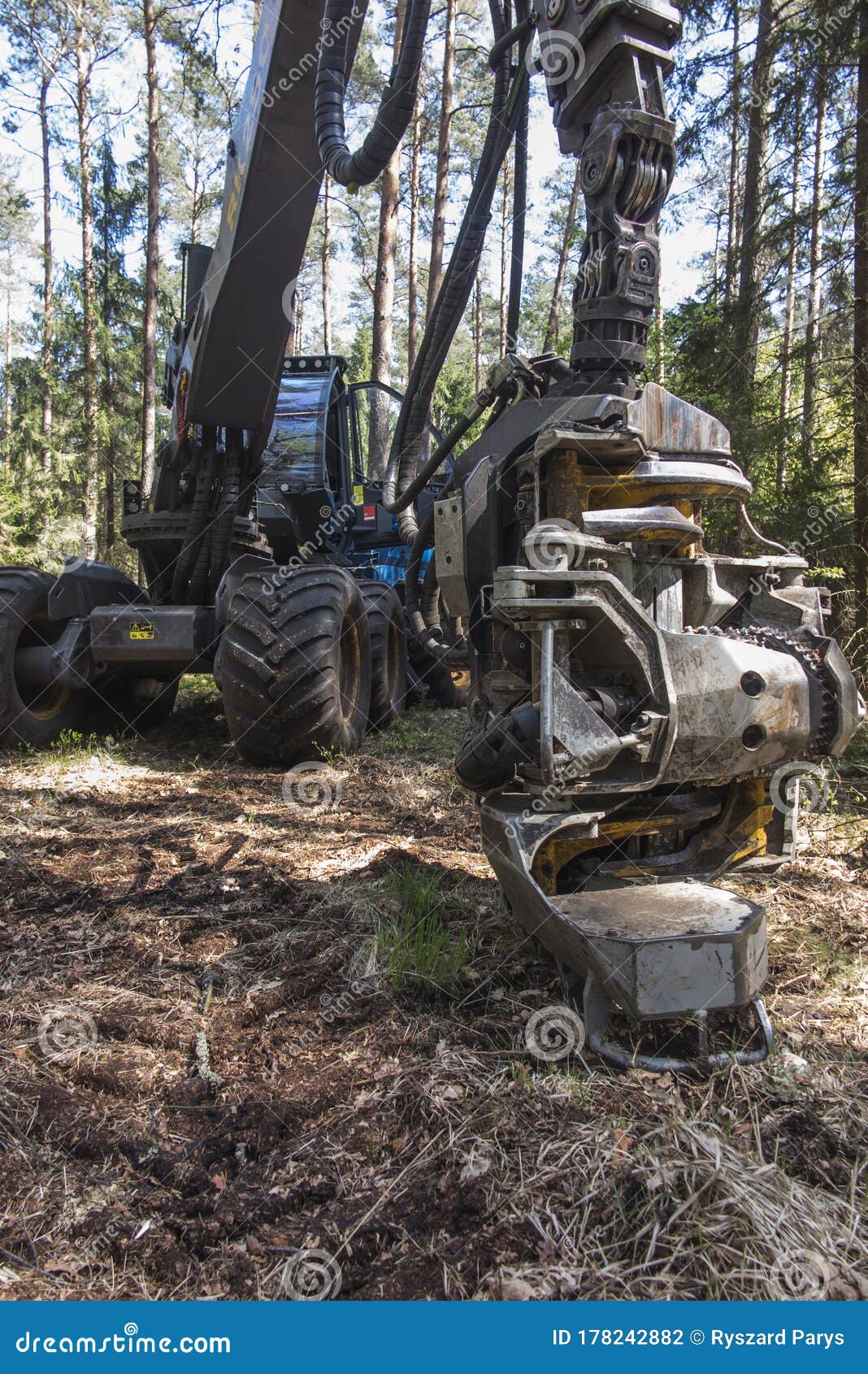 Forestry Harvester during a Stoppage among Trees Stock Photo - Image of ...
