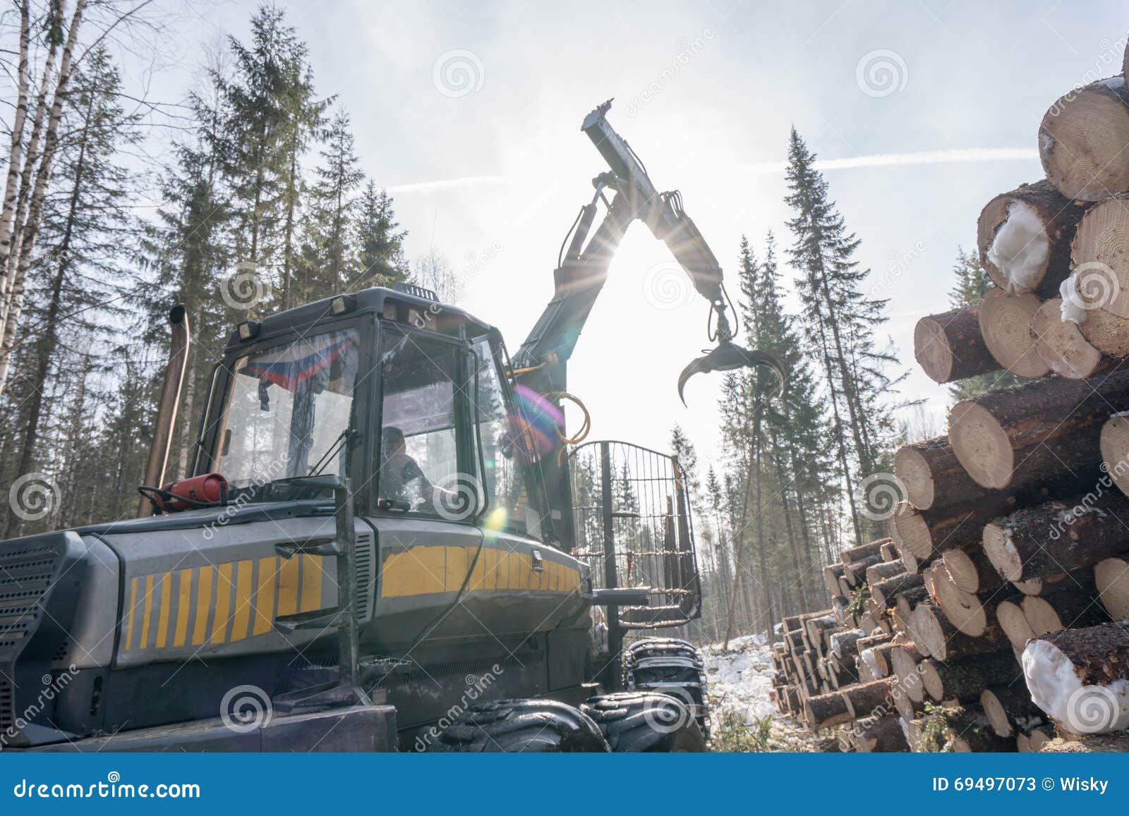 Forestry. Image of Logger at Work in Winter Woods Stock Image - Image ...