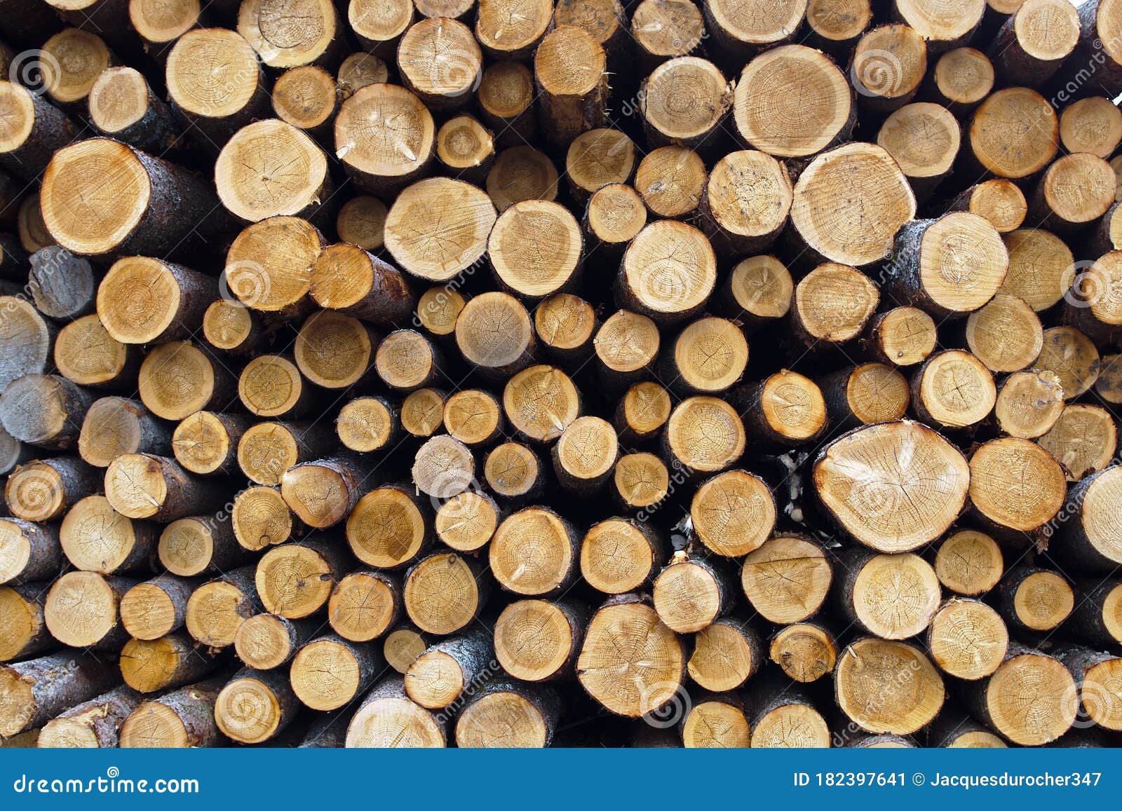 Forestry Industry Timber Stack Wood Pattern Logs Texture Stock Image ...