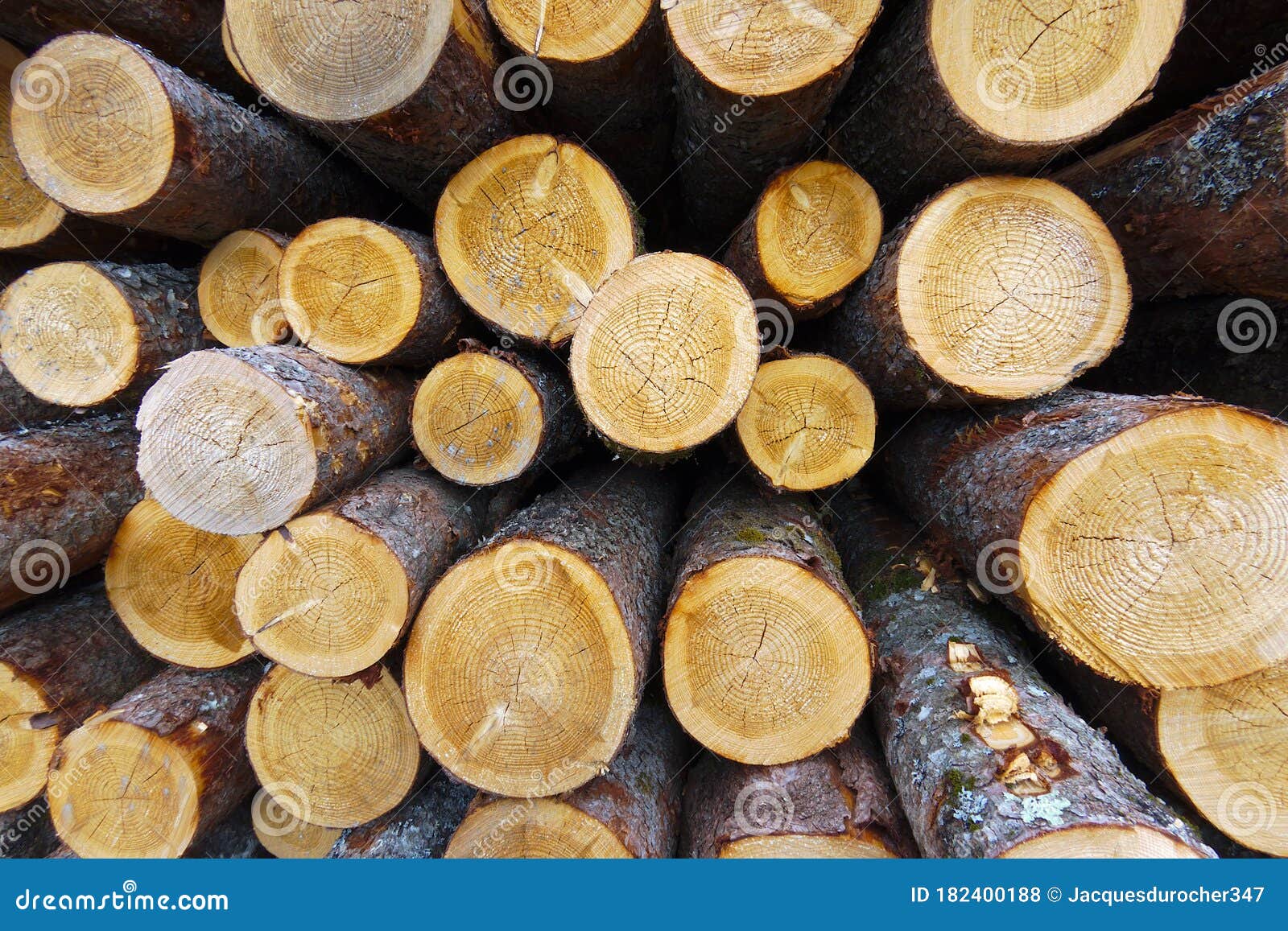 Forestry Industry Timber Stack Wood Pattern Logs Texture Stock Photo ...