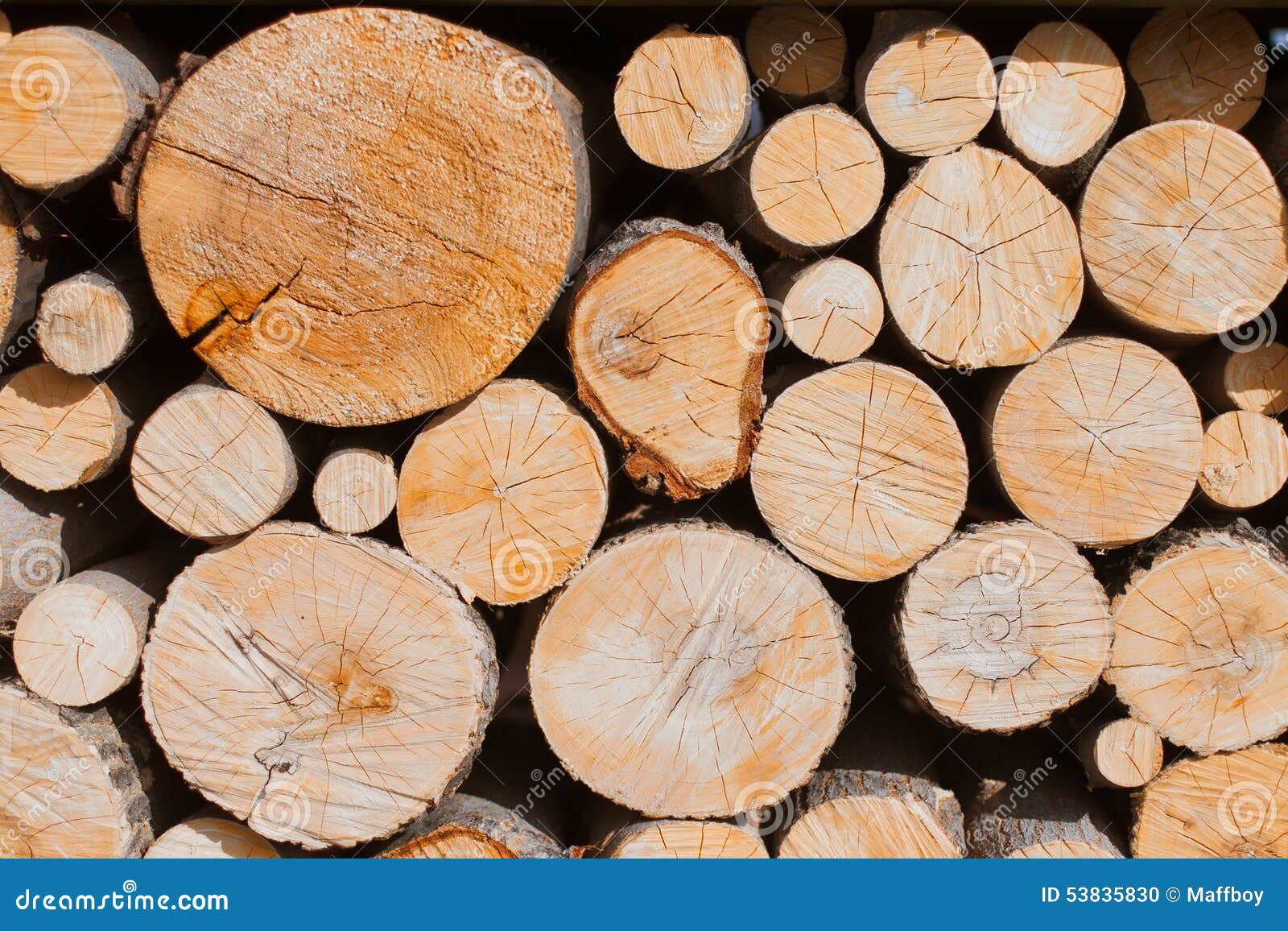 Forestry Industry Tree Felling Stock Photo - Image of wood, yard: 53835830