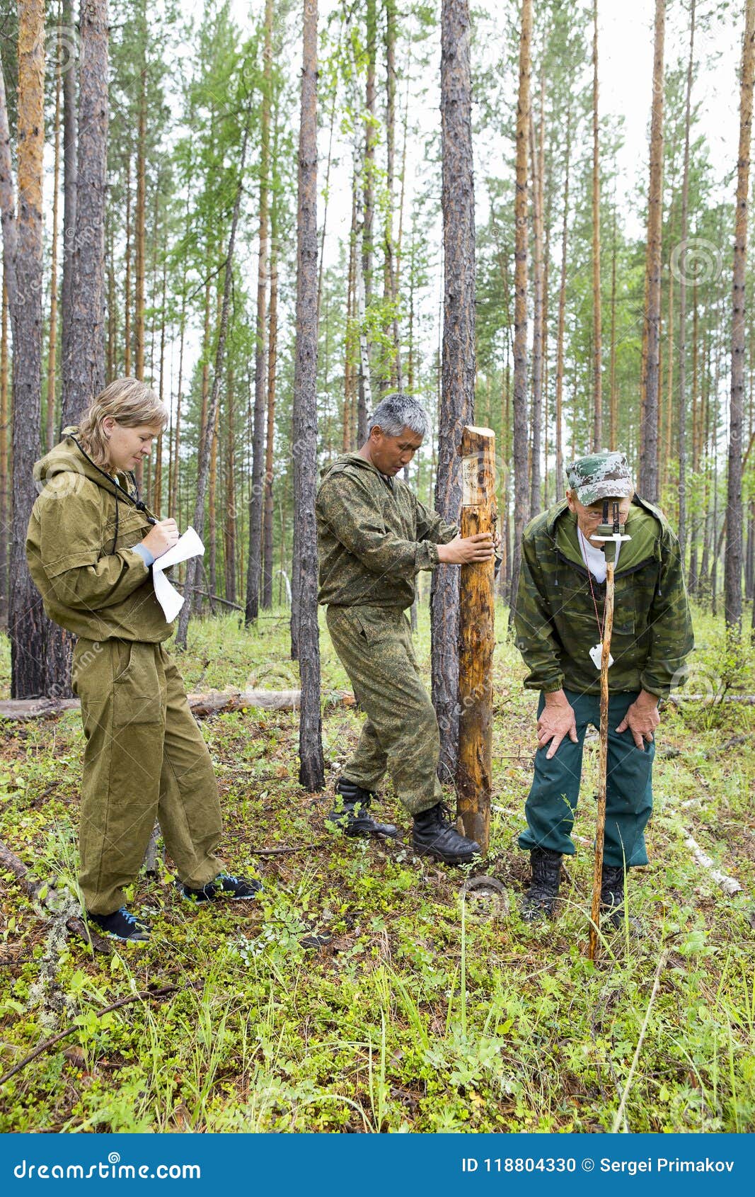 Forest Inspectors Work in the Forest. Stock Photo - Image of direction ...