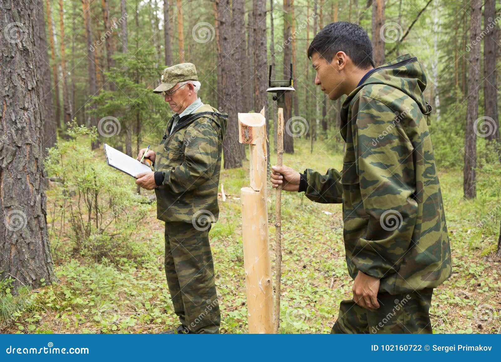 Forest Inspectors Work in the Forest. Stock Photo - Image of lumberjack ...