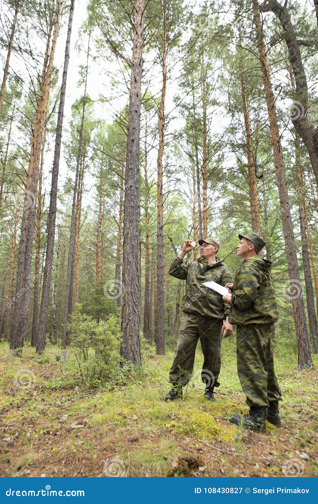 Forest Inspectors Work in the Forest. Stock Image - Image of outdoors ...