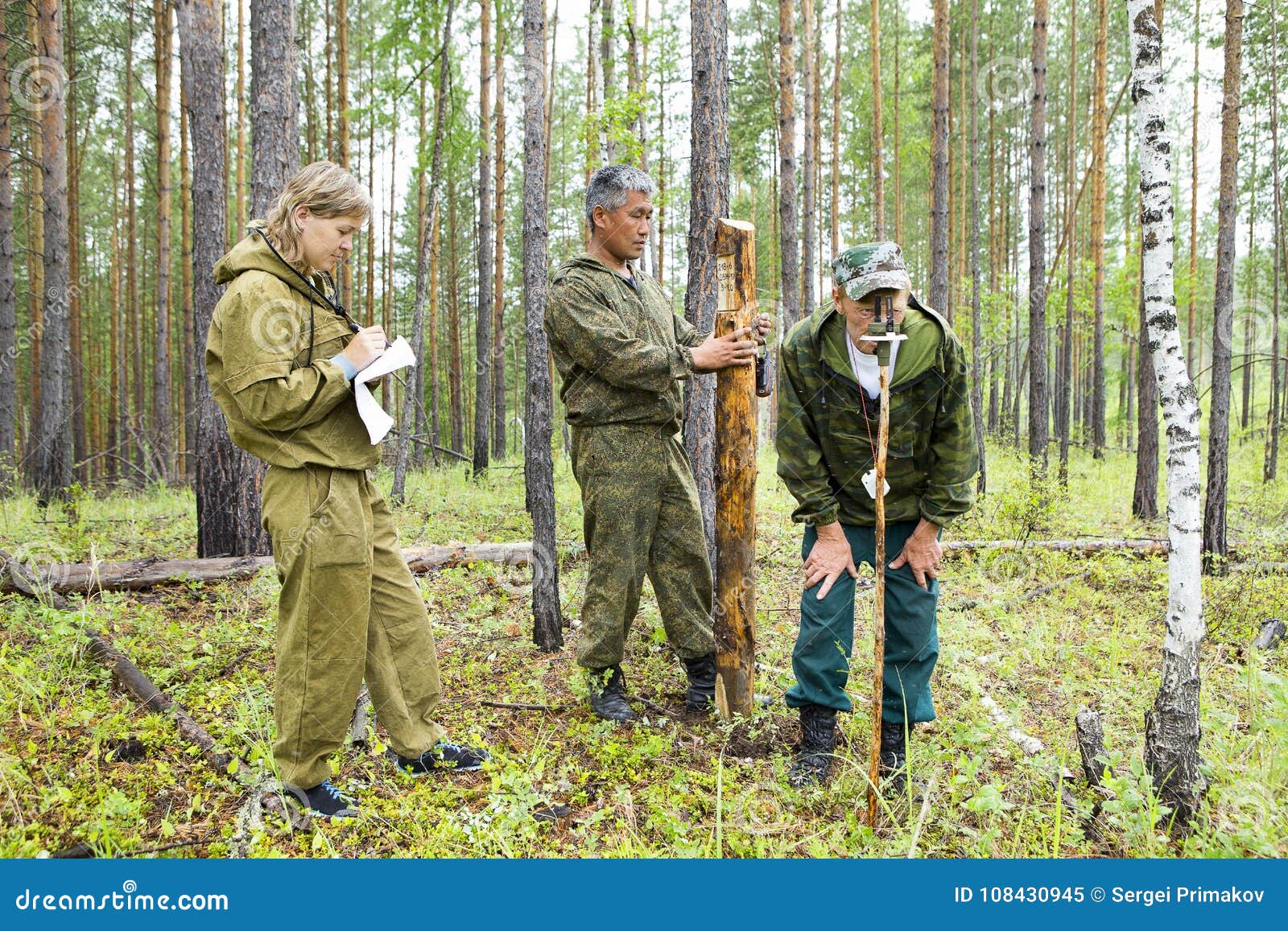 Forest Inspectors Work in the Forest. Stock Image - Image of holding ...