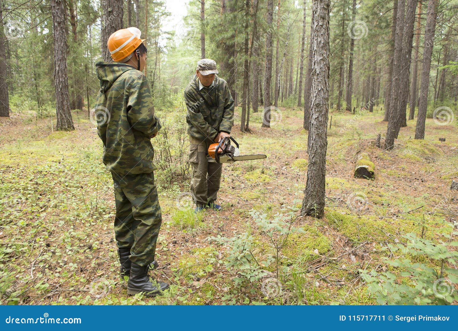 Forest Inspectors Work in the Forest. Stock Image - Image of equipment ...