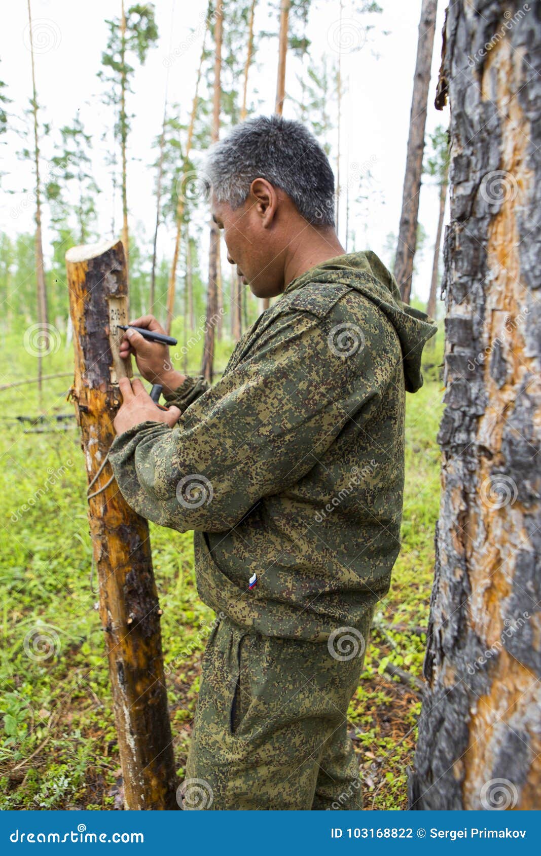 Forest Inspectors Work in the Forest. Stock Photo - Image of shovel ...