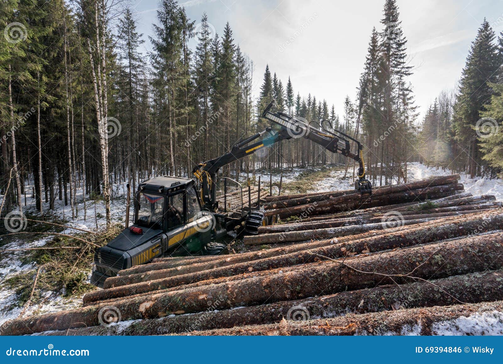 Forestry. Logger Loads Timber in Winter Woods Stock Photo - Image of ...
