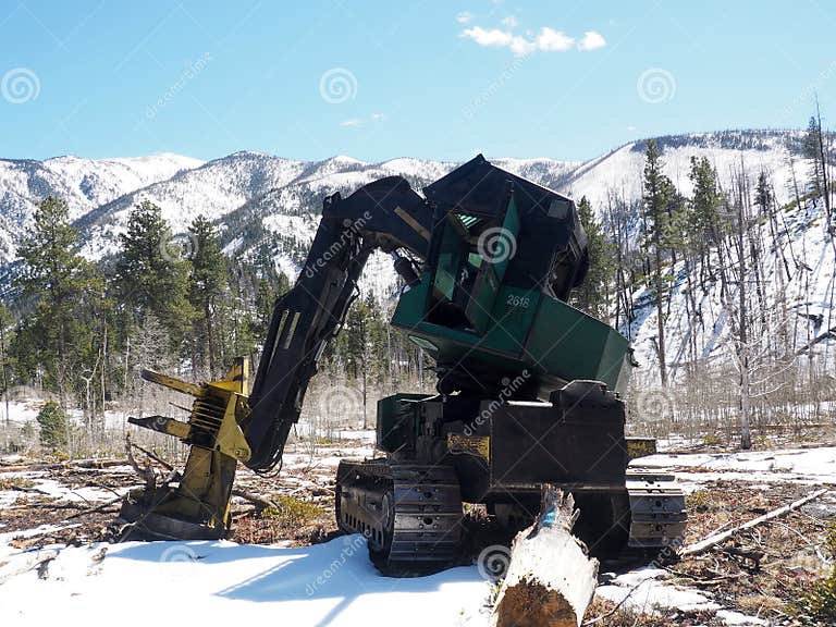 Forestry and Logging Site stock photo. Image of lumber - 137618672