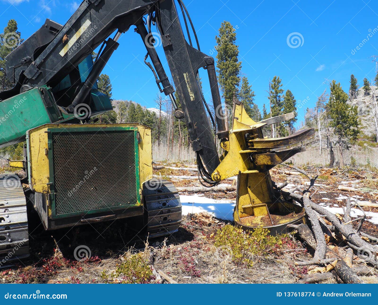 Forestry and Logging Site stock photo. Image of outdoors - 137618774