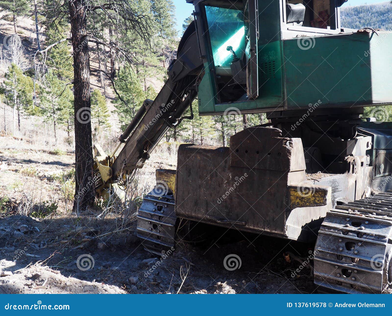 Forestry and Logging Site stock photo. Image of forestry - 137619578