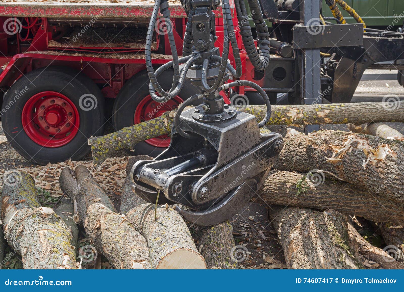 Forestry Machine and Fallen Trees Stock Image - Image of clearing ...