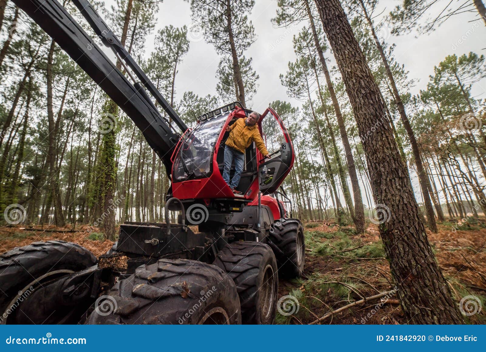 Forest Machine Operator Entering His Machine Stock Photo - Image of ...