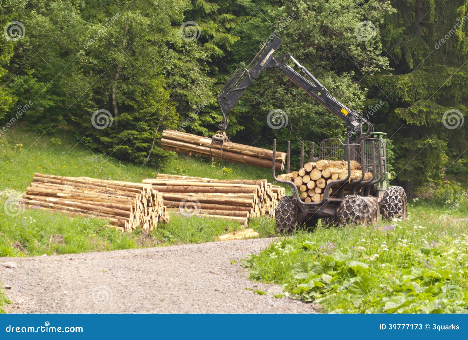 Forestry stock image. Image of trunk, workers, appliance - 39777173