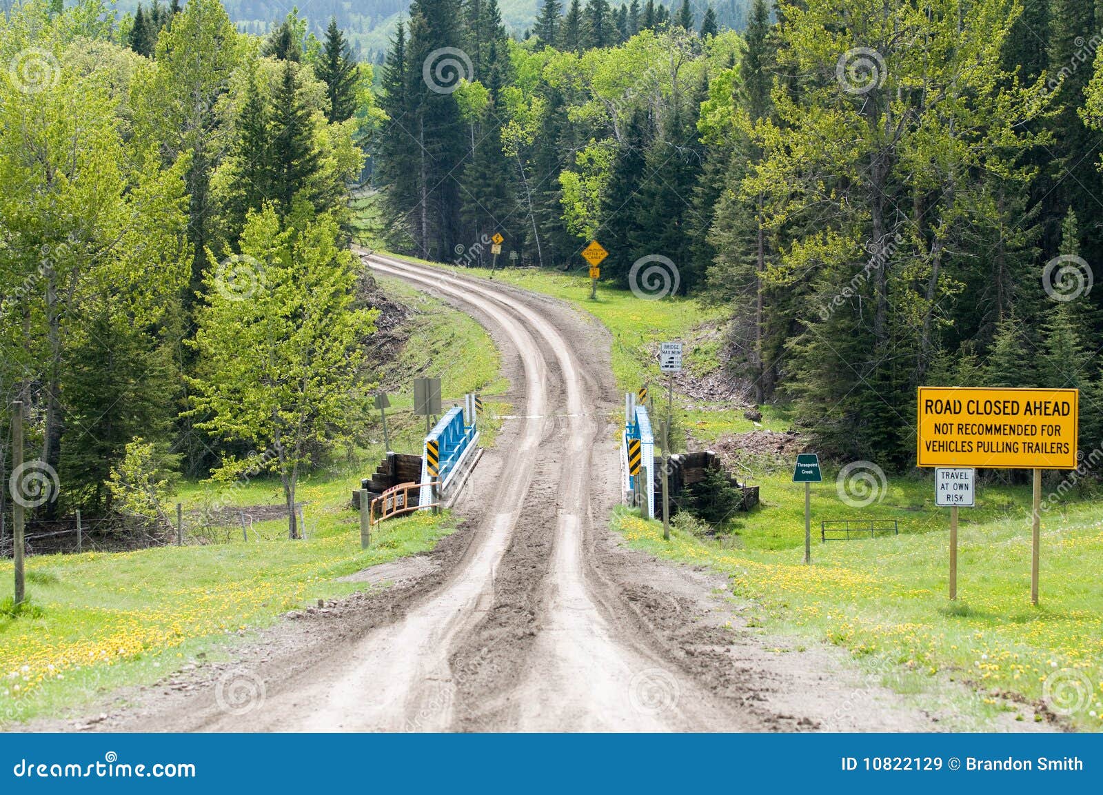 Forestry road stock image. Image of caution, river, road - 10822129