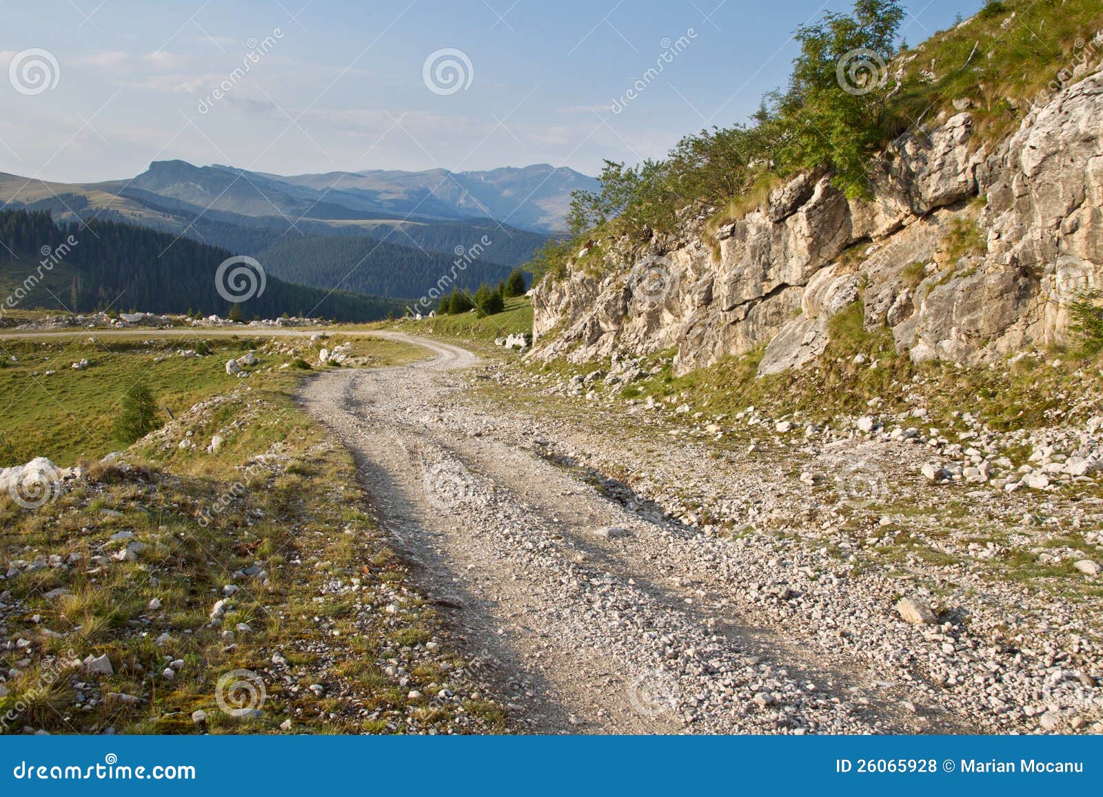Forestry road stock photo. Image of hill, forests, geographical - 26065928