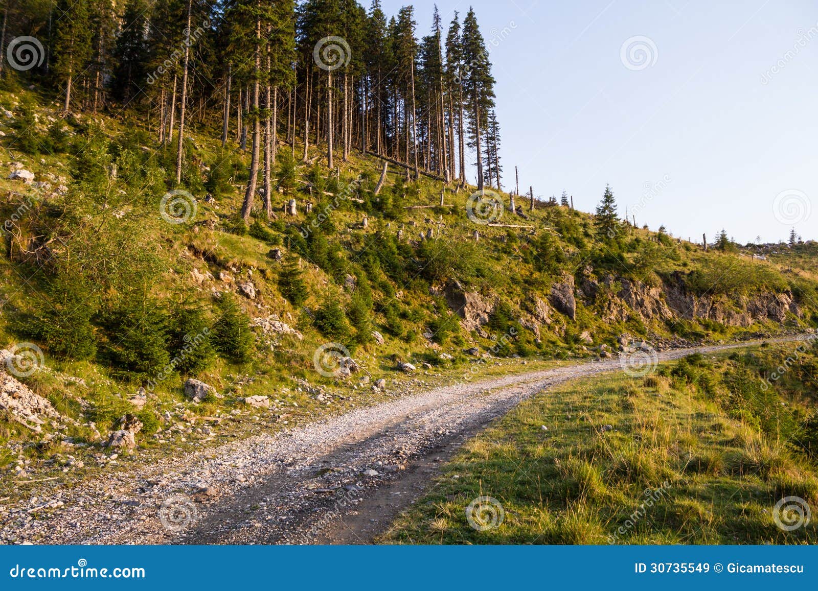 Forestry road stock image. Image of cliffs, geographical - 30735549