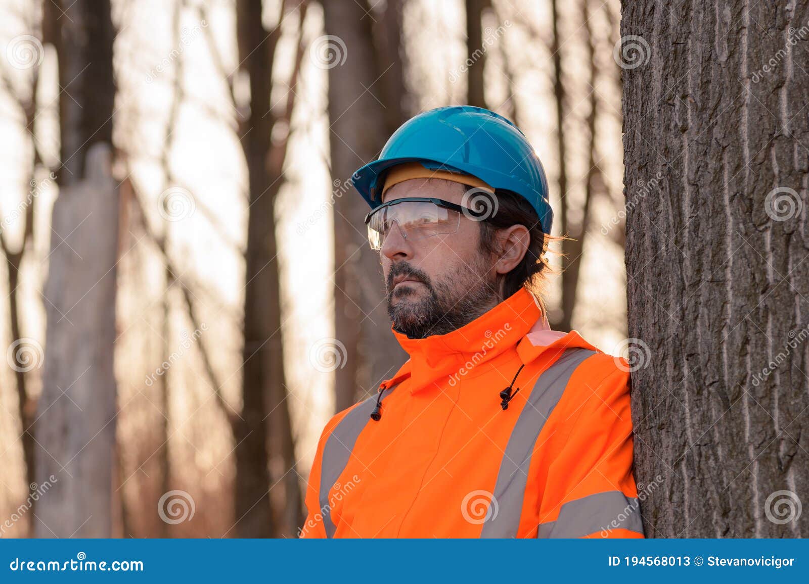 Forestry Technician in Forest, Portrait of Tree Nursery Professional ...