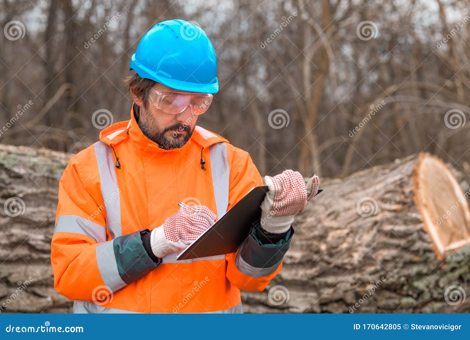 Forestry Technician Collecting Data Notes in Forest Stock Image - Image ...