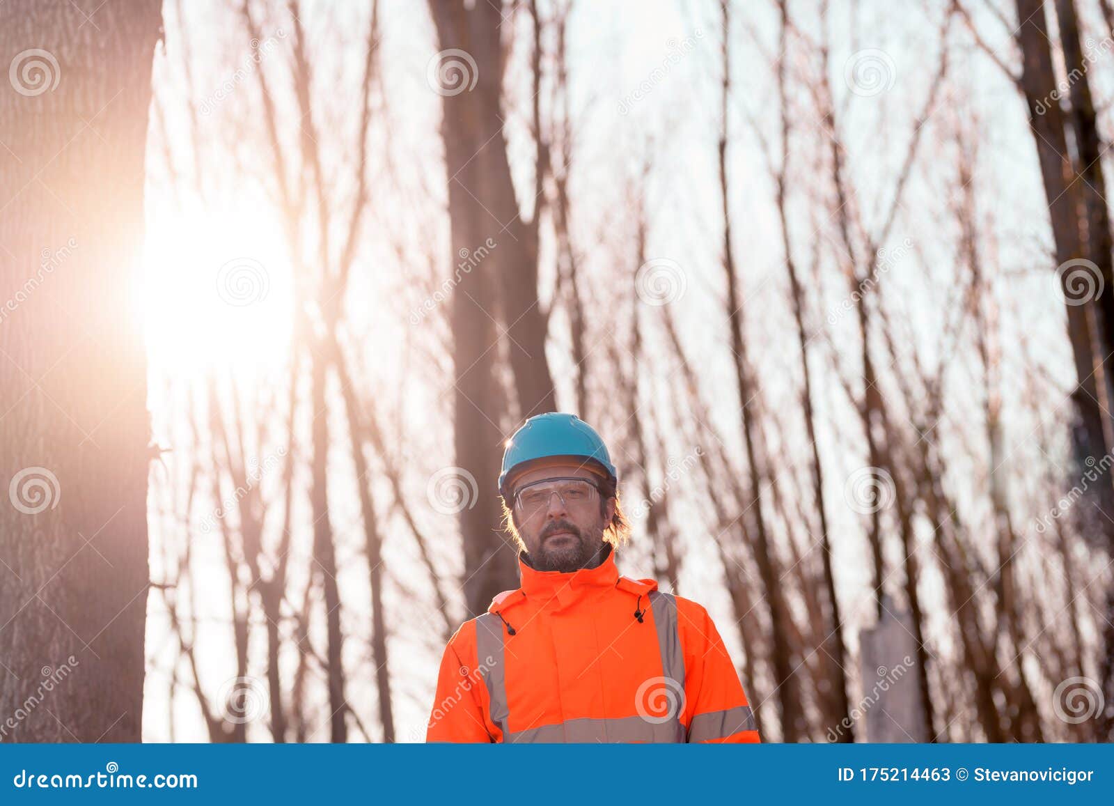 Forestry Technician in Forest, Portrait of Tree Nursery Professional ...