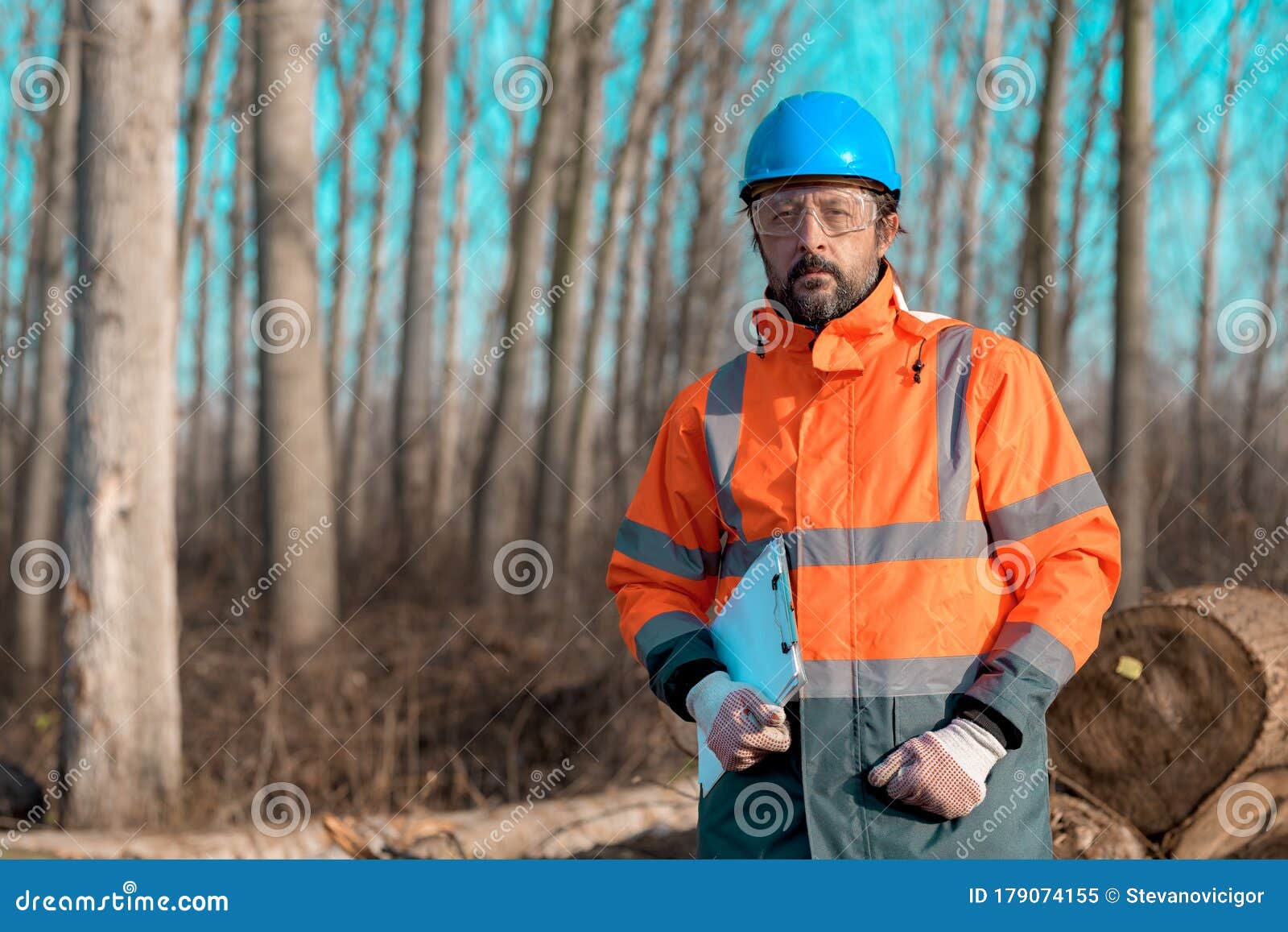 Forestry Technician Portrait during Logging Process in Forest Stock ...