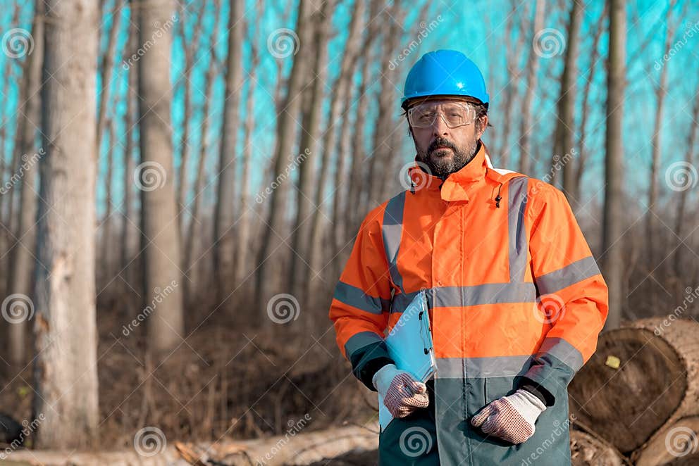 Forestry Technician Portrait during Logging Process in Forest Stock ...