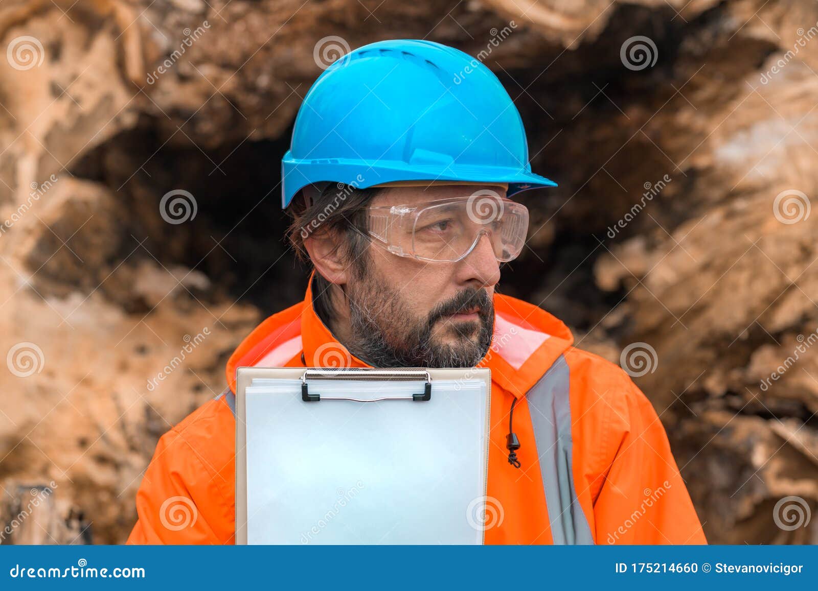 Forestry Technician Posing with Clipboard Notepad Next To Tree Log ...