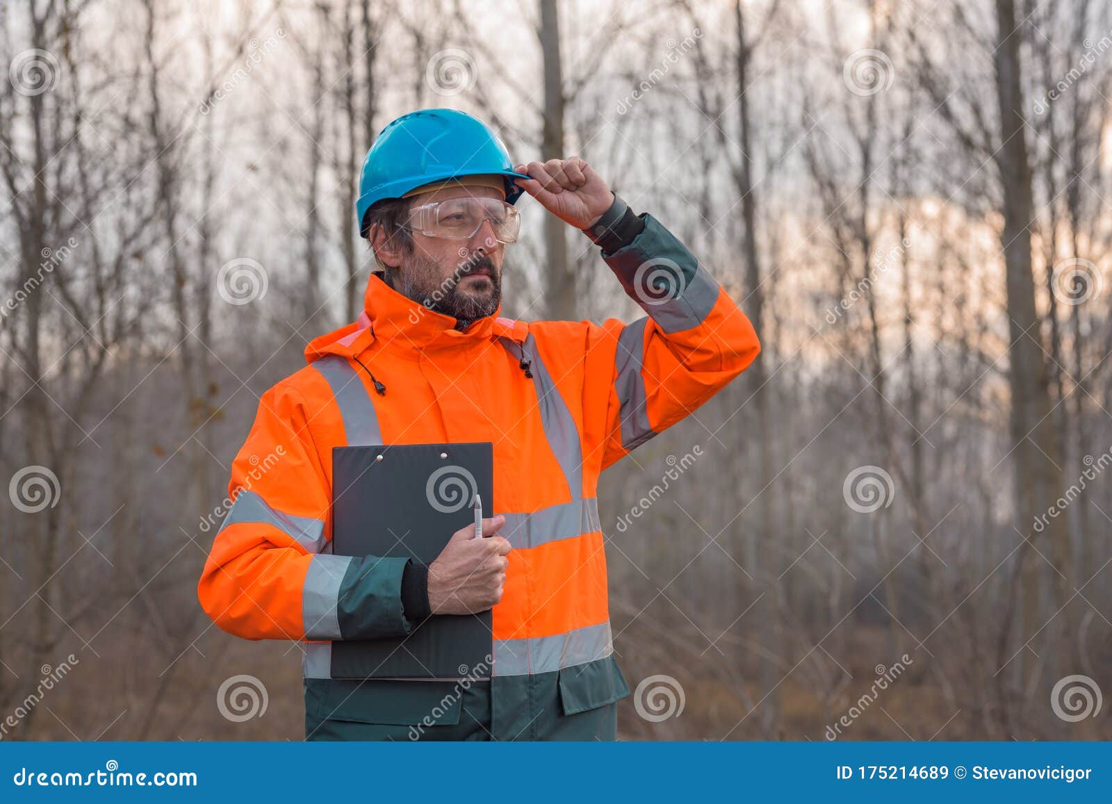 Forestry Technician Posing in Forest Stock Image - Image of nature ...