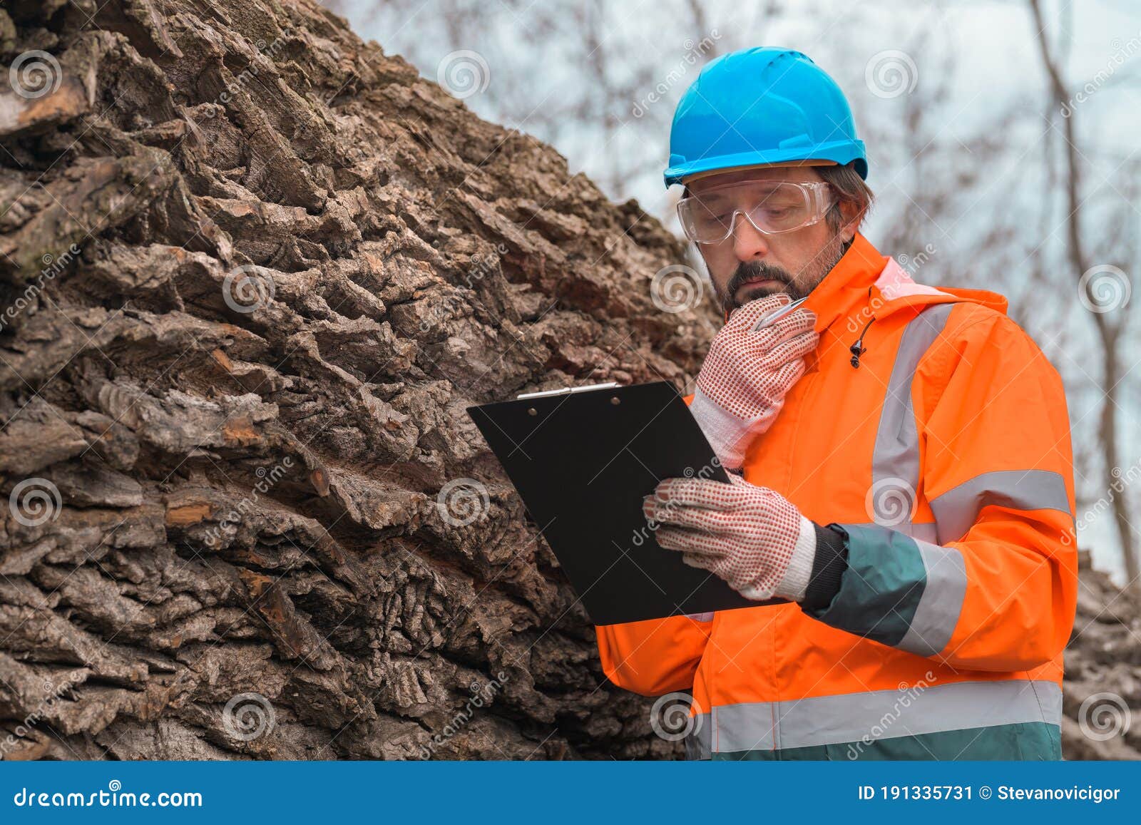 Forestry Technician Reading Notes on Clipboard Notepad Paper in Forest ...