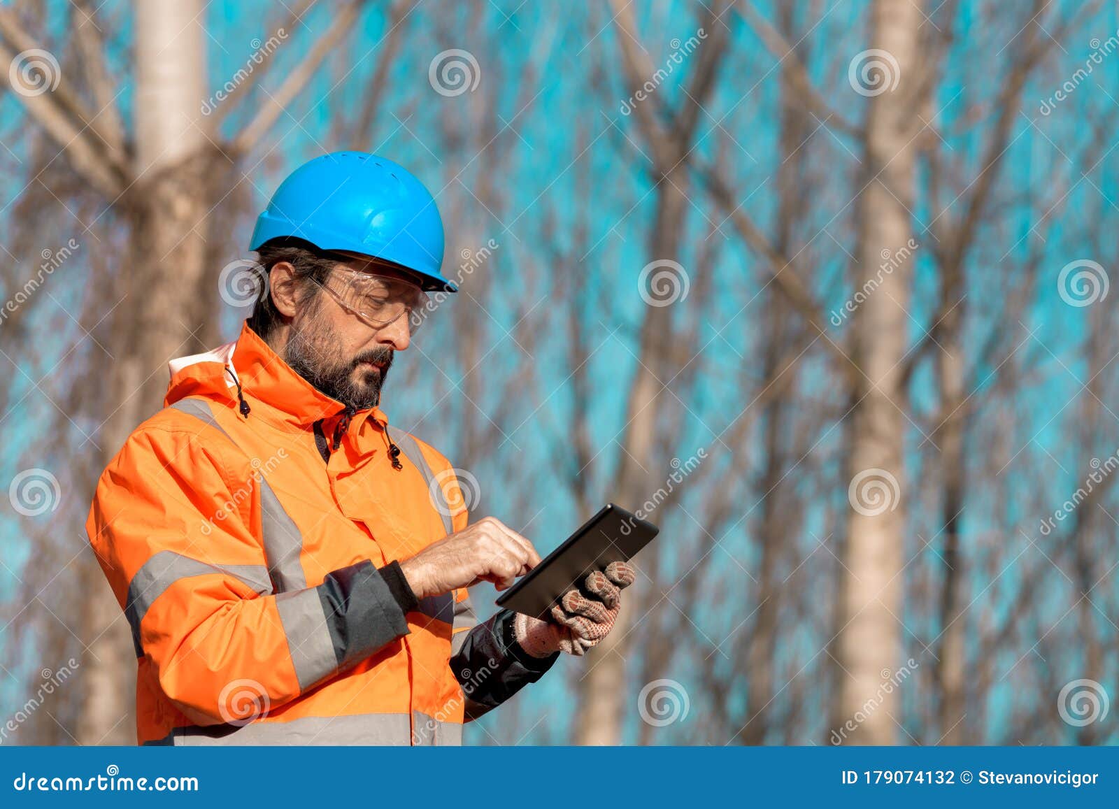 Forestry Technician Using Digital Tablet Computer in Forest Stock Photo ...
