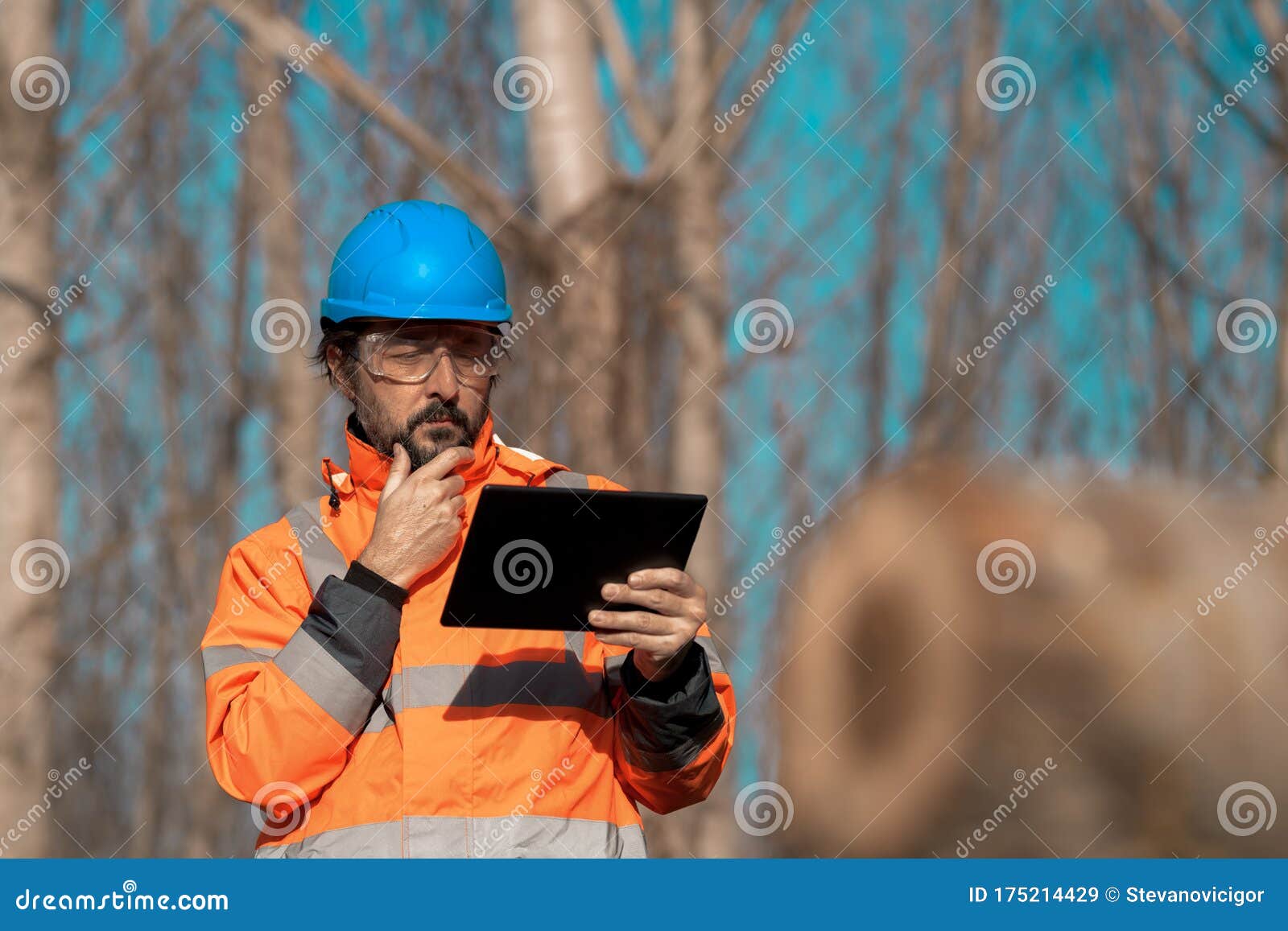 Forestry Technician Using Digital Tablet Computer in Forest Stock Image ...