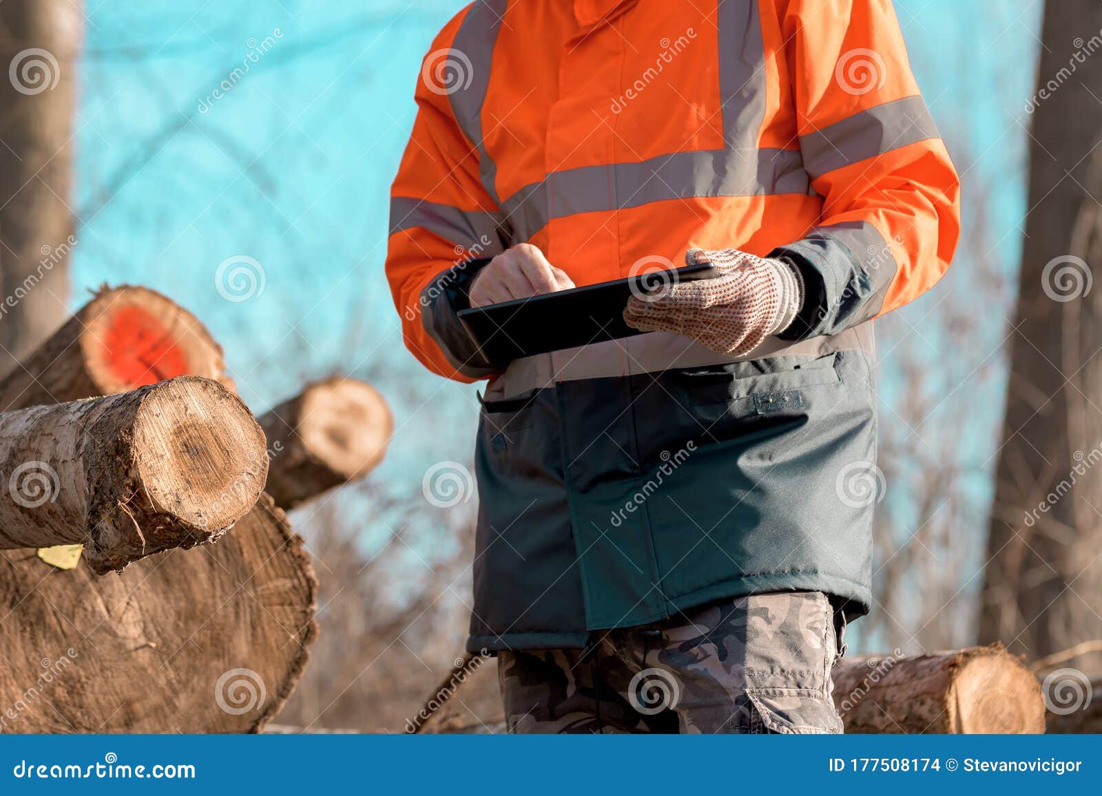 Forestry Technician Using Digital Tablet Computer in Forest Stock Photo ...
