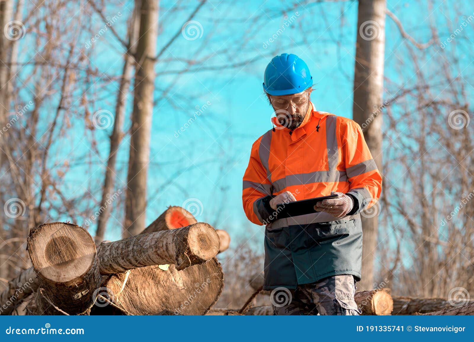 Forestry Technician Using Digital Tablet Computer in Forest Stock Image ...