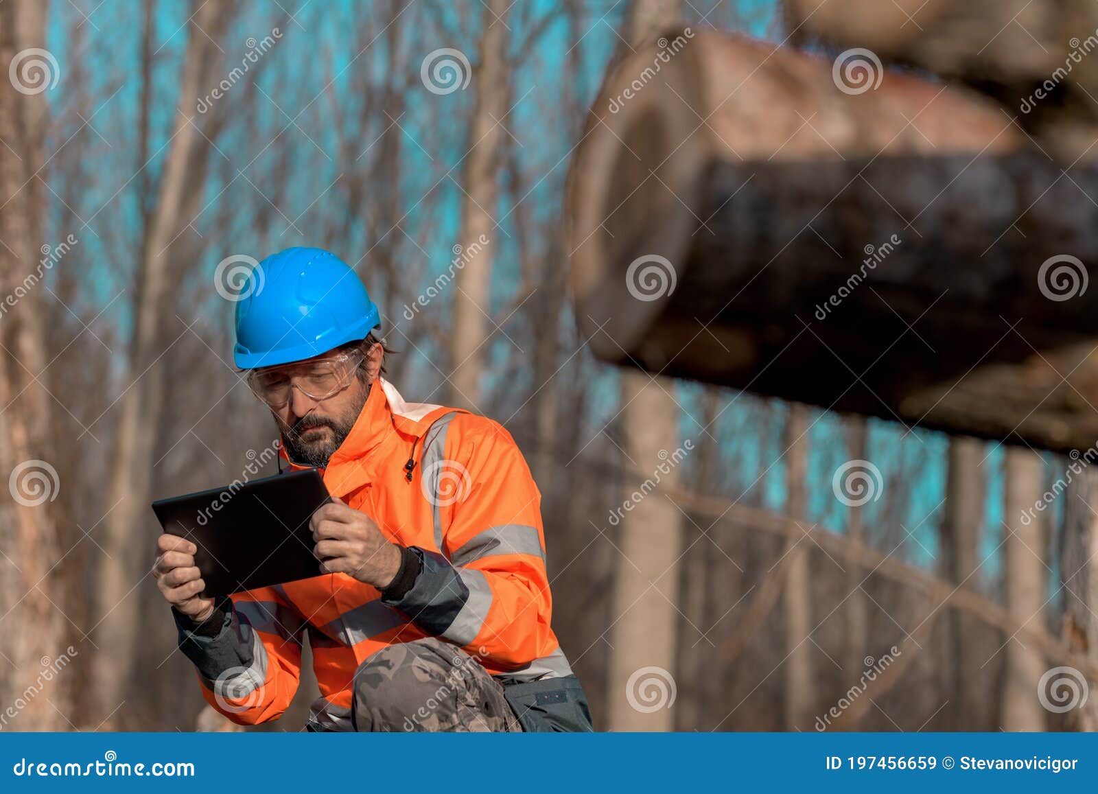 Forestry Technician Using Digital Tablet Computer in Forest Stock Image ...