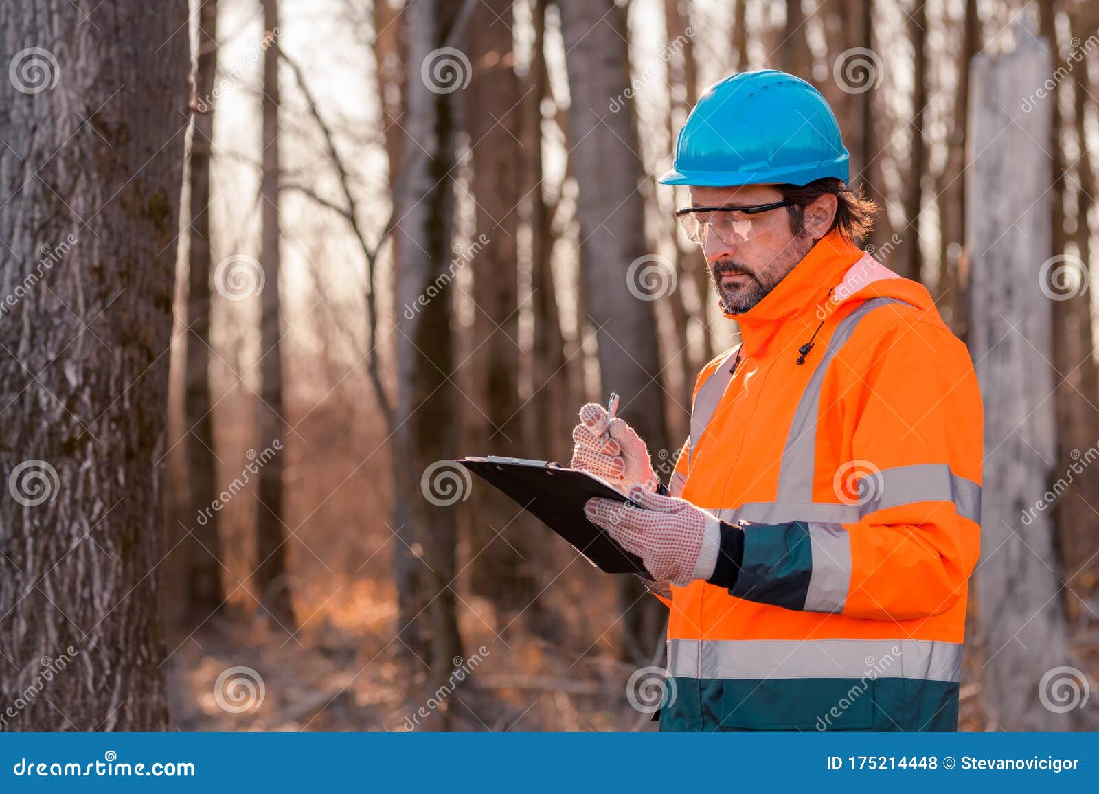 Forestry Technician Writing Notes on Clipboard Notepad Paper in Forest ...