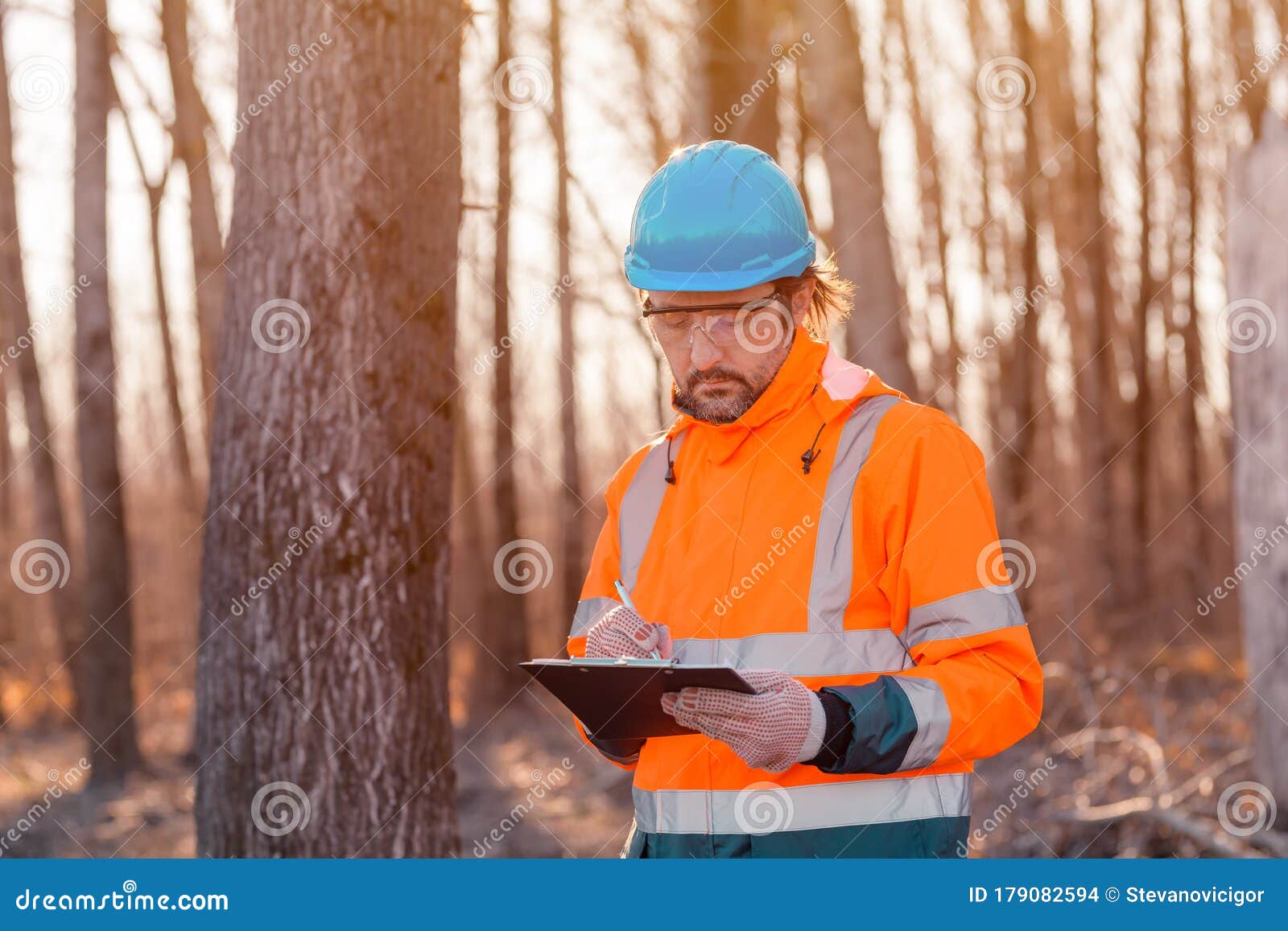 Forestry Technician Writing Notes on Clipboard Notepad Paper in Forest ...