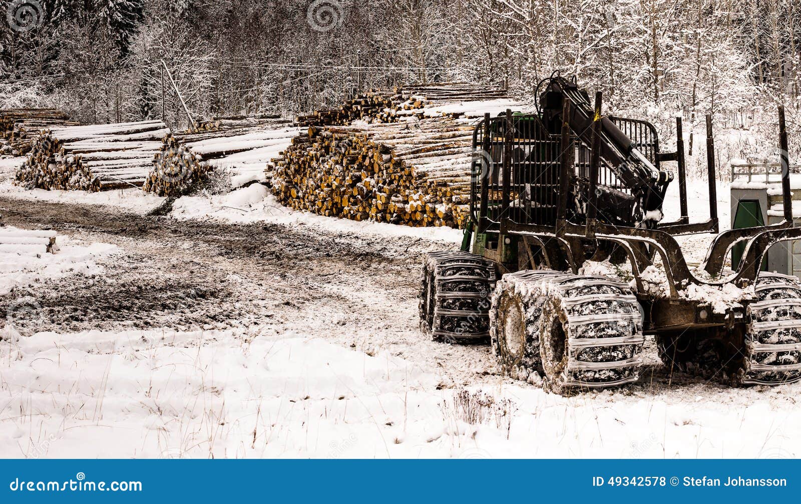 Forestry tracktor parked stock photo. Image of machine - 49342578