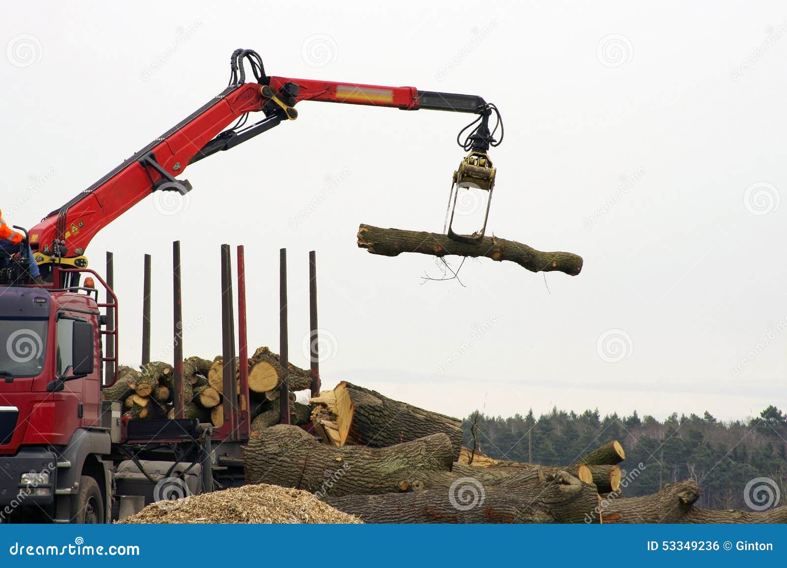 Forestry stock photo. Image of lifting, edge, sawdust - 53349236