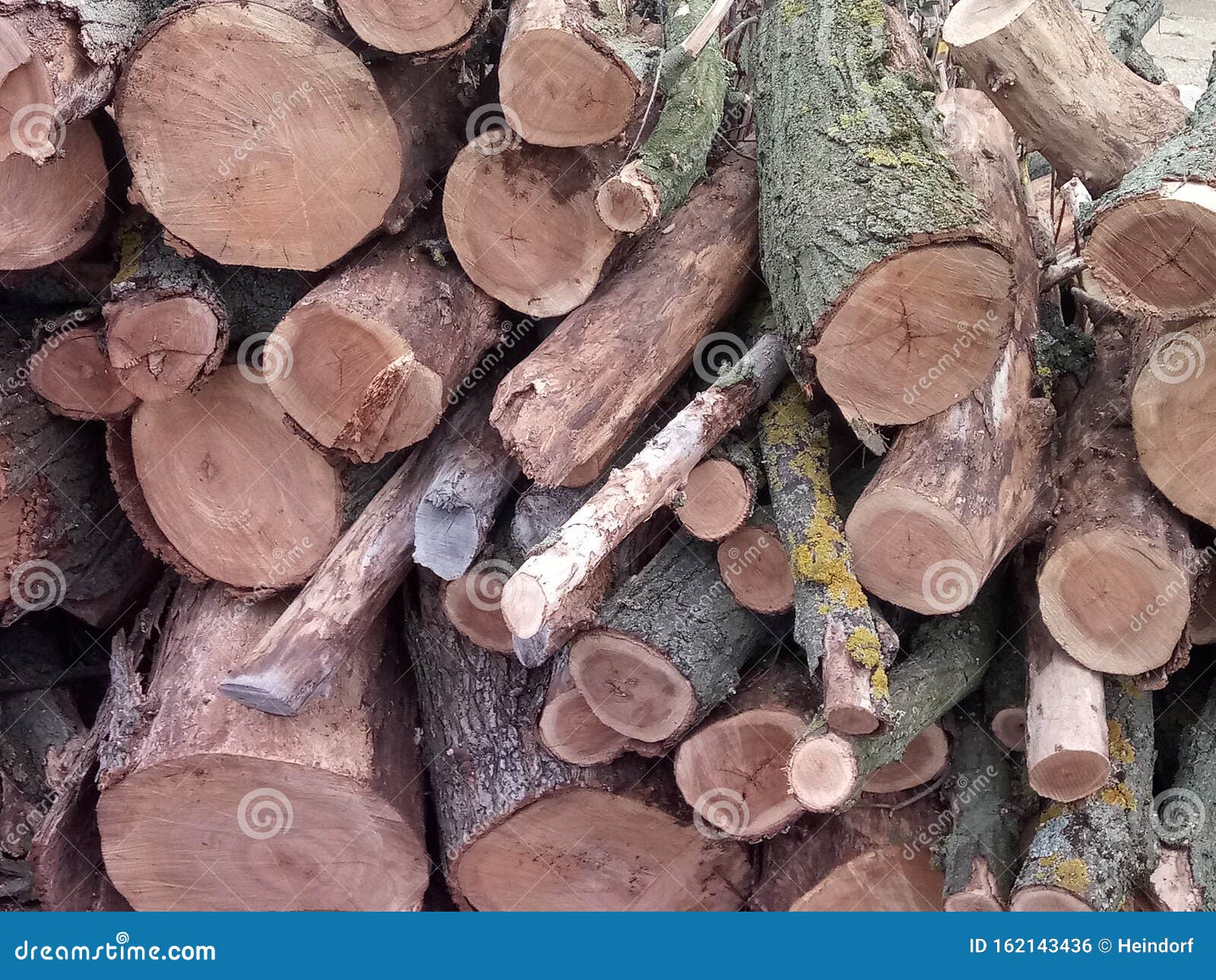 View of Sawn and Stacked Tree Trunks Stock Photo - Image of industry ...