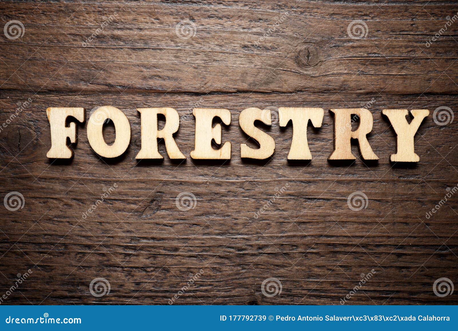 Forestry word view stock image. Image of forest, lettering - 177792739