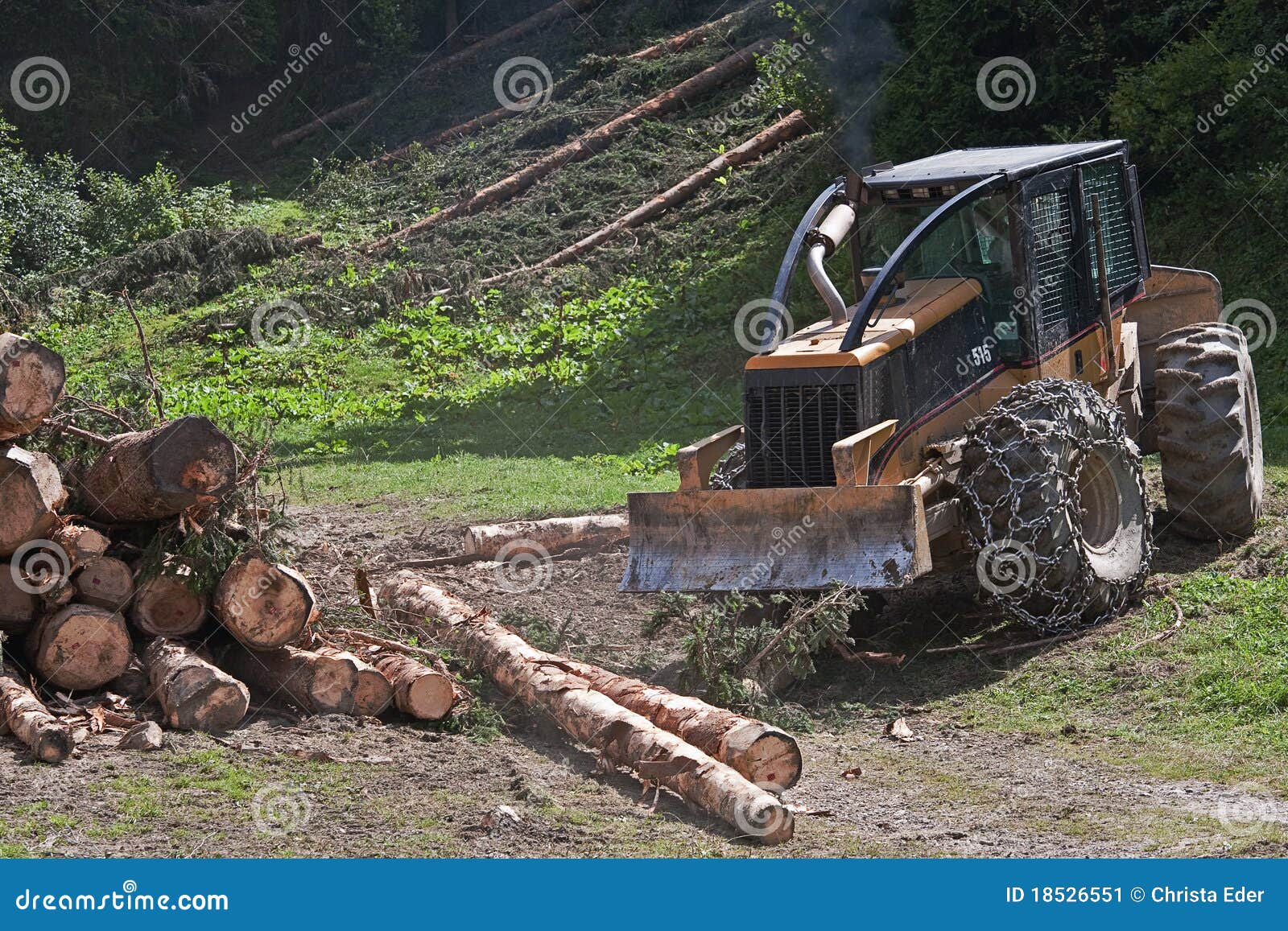 Forestry Work Stock Image - Image: 18526551